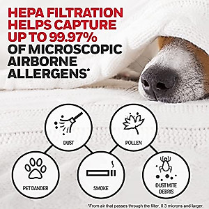 Honeywell HEPA Air Purifier Filter Kit – Includes 3 HEPA R Replacement Filters and 4 A Carbon Pre-Cut Pre-Filters – Airborne Allergen Air Filter Targets Wildfire/Smoke, Pollen, Pet Dander, and Dust