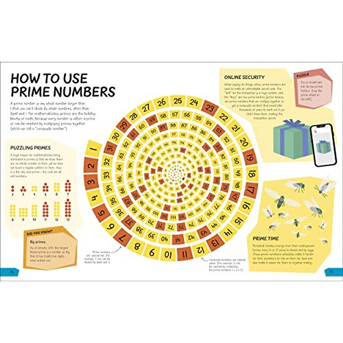 What's the Point of Math? (DK What's the Point of?)