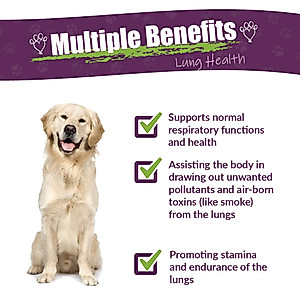 Amber NaturalZ Numo Care Lung Health Herbal Supplement for Dogs | Canine Herbal Supplement for Bronchial Support and Respiratory Lung Health | 4 Fluid Ounce Glass Bottle | Manufactured in The USA