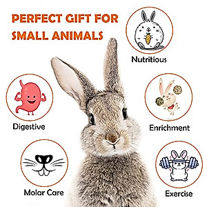 Sofier Rabbit Toys Bunny Toys Guinea Pig Toys Natural Timothy Hay Sticks Hamster Toys for Teeth Handmade Rabbit Chews and Treats Apple Wood Sticks Chinchilla Rat