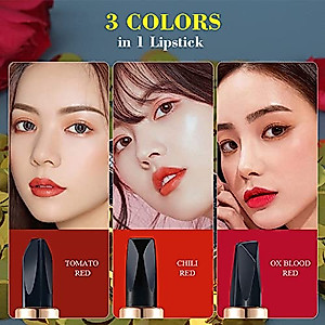 Petansy Peel Off Lip Stain 3 Colors Matte Tattoo Peel Off Lip Liner Set Long-lasting Waterproof Nude Lip Gloss Highly Pigmented Tattoo Lip Tint Stain (black, M)
