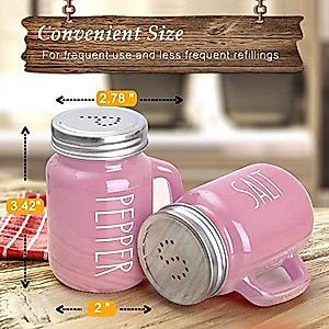 Pink Salt and Pepper Shakers Set - DAYYET 4 oz Pink Kitchen Decor and Accessories for Home Restaurants Weddings - Cute Glass Shaker Sets with Stainless Steel Lids