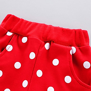 WHBFRG Baby Girl Clothes, 2 Pieces Long Sleeved Cute Toddler Infant Outfits Kids Tops and Pants Set(18-24 Months,Red)
