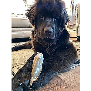 EcoKind Pet Treats Jumbo (6-8 inches Each) Cow Ear Dog Treats - 100% All-Natural Beef Dog Chews - Promotes Dental Health - Durable & Long-Lasting, Free Range Grass Fed Cattle (6 Ears)