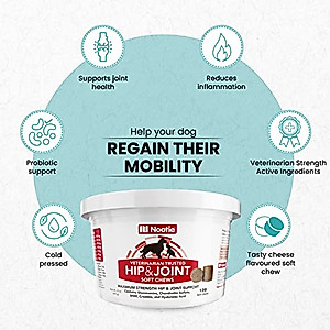 Nootie Maximum Strength Hip & Joint Soft Chews for Dogs - 120 Count
