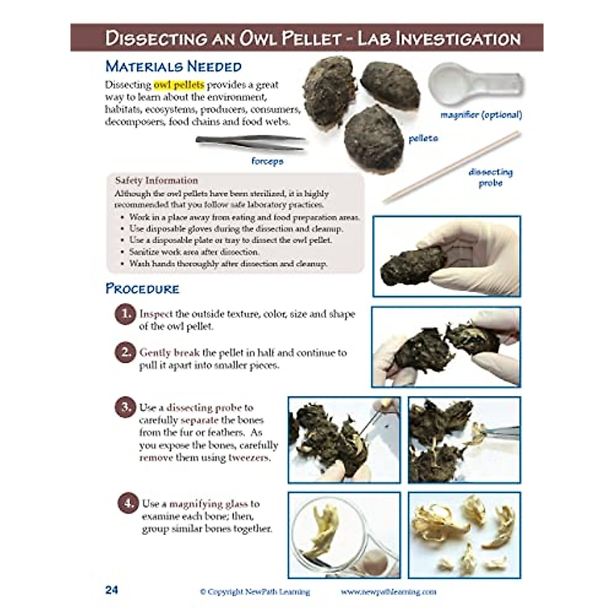 NewPath Learning-14-6715 Owls and Owl Pellet Dissection Resource Guide - Self-Directed Readings, Illustrated Explanations
