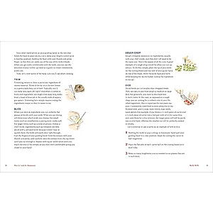 How to Cook for Beginners: An Easy Cookbook for Learning the Basics