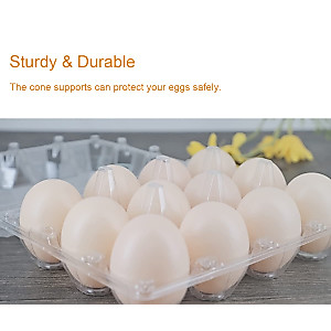 BULKBUY Egg Cartons 60 Packs, Clear Eco-friendly Plastic Blank Egg Cartons with Free Labels, Holds up to 12 Eggs Securely, Perfect for Family Pasture Farm Markets Display - Medium