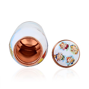 PRURA Pure Printed Copper Water Bottle - Leak Proof Ayurvedic Drinkware Copper Vessel for Sports, Gym, Outdoors, Yoga, Health Benefits (30 oz)