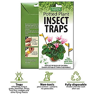 Harris Potted Plant Insect Traps for Gnats, Aphids, Whiteflies and More (30 Traps, 7 Stakes)