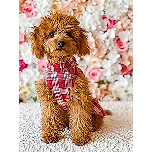 Fitwarm Dog Christmas Outfit, Winter Dog Dress, Dog Clothes for Small Dogs Girl, Turtleneck Plaid Pet Costume, Cat Apparel, Red, XXS