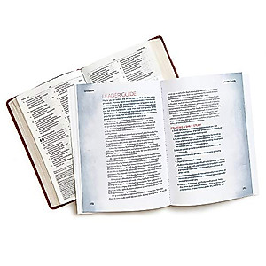 Gideon: Your Weakness. God's Strength. Bible Study Book