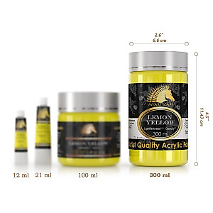 MyArtscape Acrylic Paint Set - 12 x 300ml Bottles - Lightfast - Heavy Body - Rich Pigments - Artist Quality Painting Supplies - Professional Grade Paints