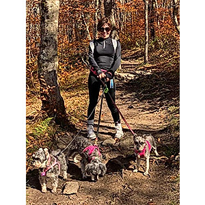 Doggie Don't Device- Handheld Sound Only Dog Training Corrector- Better and More Humane Than a Shock Collar- Stop Barking and Other Naughty Behaviors - Created by a Dog Lover in The USA