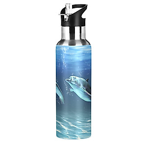 Dolphin Water Bottle with Straw Lid Thermos Ocean Kids Insulated Stainless Steel Water Flask 20 Oz Dolphins