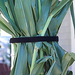 VELCRO Brand VEL-30765-AMS Extra Narrow Straps 1/2 in x 30ft Roll | Cut to Length Reusable Self-Gripping Tape | Organize and Bundle Electric Cords, Ropes, Cable Management Solutions, Wire Ties | Black