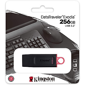 Kingston 256GB Flash Drive DataTraveler Exodia USB 3.2 High Speed 100MB/s USB for Computer (DTX/256GB) Bundle with 1 Everything But Stromboli Lanyard
