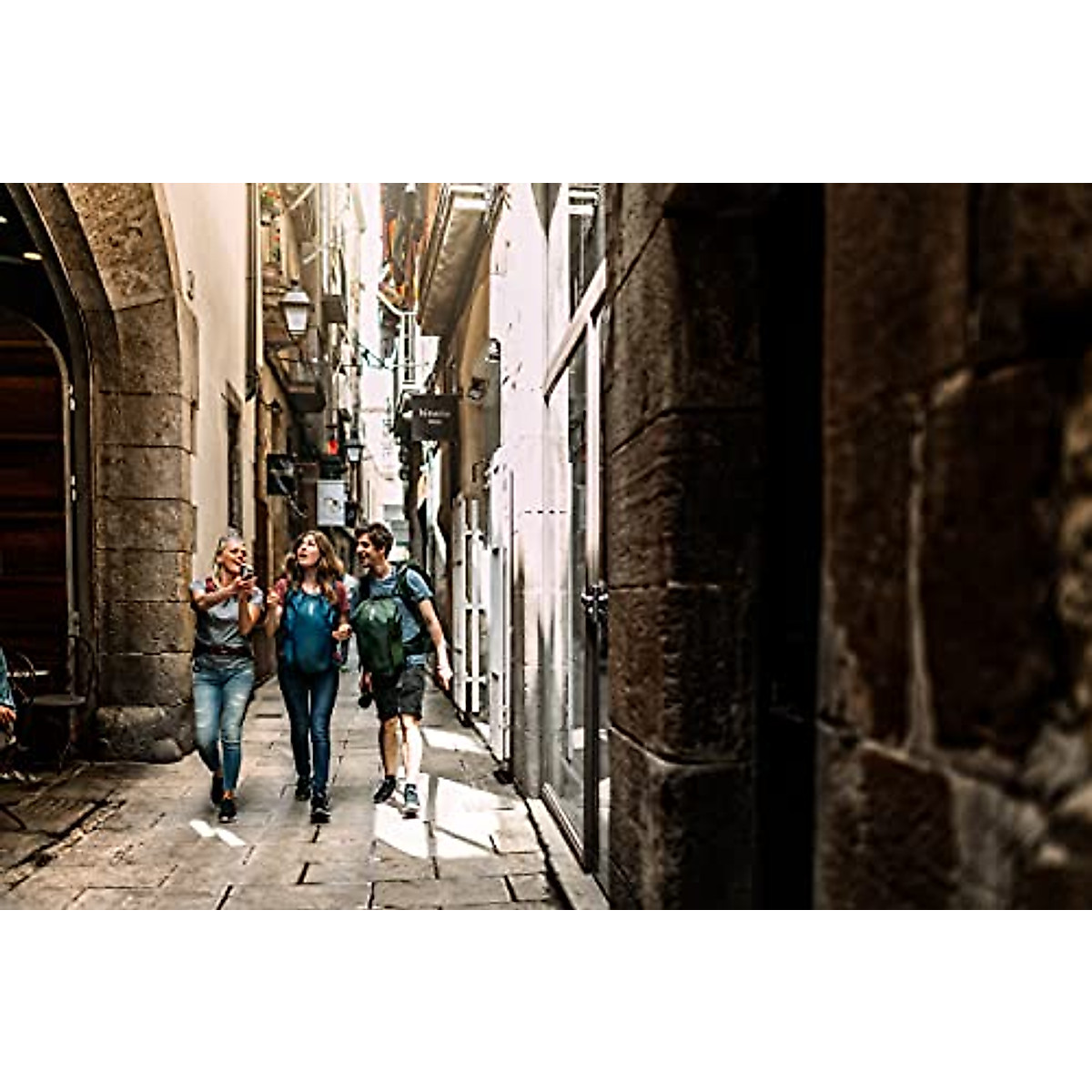 Thule Landmark 60L Travel Pack, Obsidian