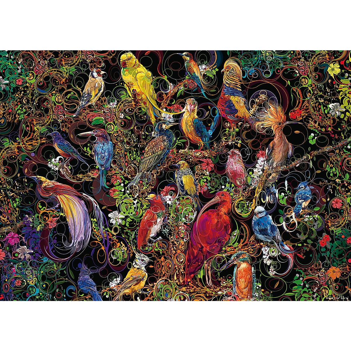 Ravensburger Birds of Art 1000-Piece Jigsaw Puzzle | Unique Artwork | Perfect Interlocking Fit | Vibrant and Glare-Free | FSC Certified