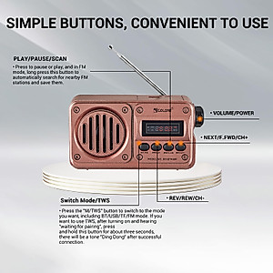 Gelielim Portable Radio with Bluetooth, FM Radio with Loud Volume, Digital Radio Retro Bluetooth Speaker with LED Display Support TF Card/USB, Present for Grandparents for Kitchen Outdoor (No AM)