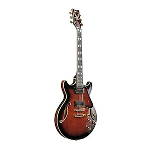Ibanez AM Artstar 6 String Electric Guitar (Right Hand, Dark Brown Sunburst) with Hardshell Case