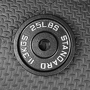 NEXO Steel Olympic 25LB Plate Pair - Olympic 2 inch Premium Hammertone 2x 25 Pound Barbell Weights