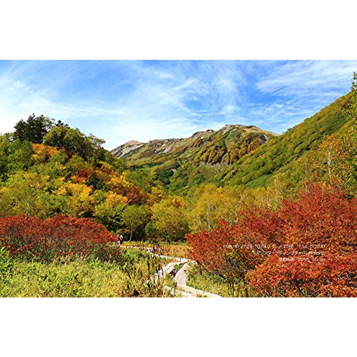 Canon EOS 6D with EF 24-105mm F4L IS USM Lens - International Version (No Warranty)