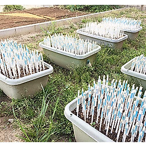 Sustee Aquameter (Small Green Refillable - Bundle of 2) - House Plant Soil Moisture Meter, Humidity Sensor Probe, Water Level Indicator - Best for Indoor Potted Plants