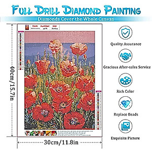 PJOESL Diamond Painting Kits for Adults - Flower Diamond Art DIY 5D Full Round Drill Crystal Rhinestone Arts and Crafts - Gem Art Paint with Diamond Dots Home Wall Decor 11.8x15.7inch