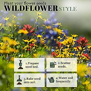 Sow Right Seeds - Texas Bluebonnet Seeds to Plant - Full Instructions for Planting and Growing a Beautiful Flower Garden; Non-GMO Heirloom Seeds; Wonderful Gardening Gift (1)
