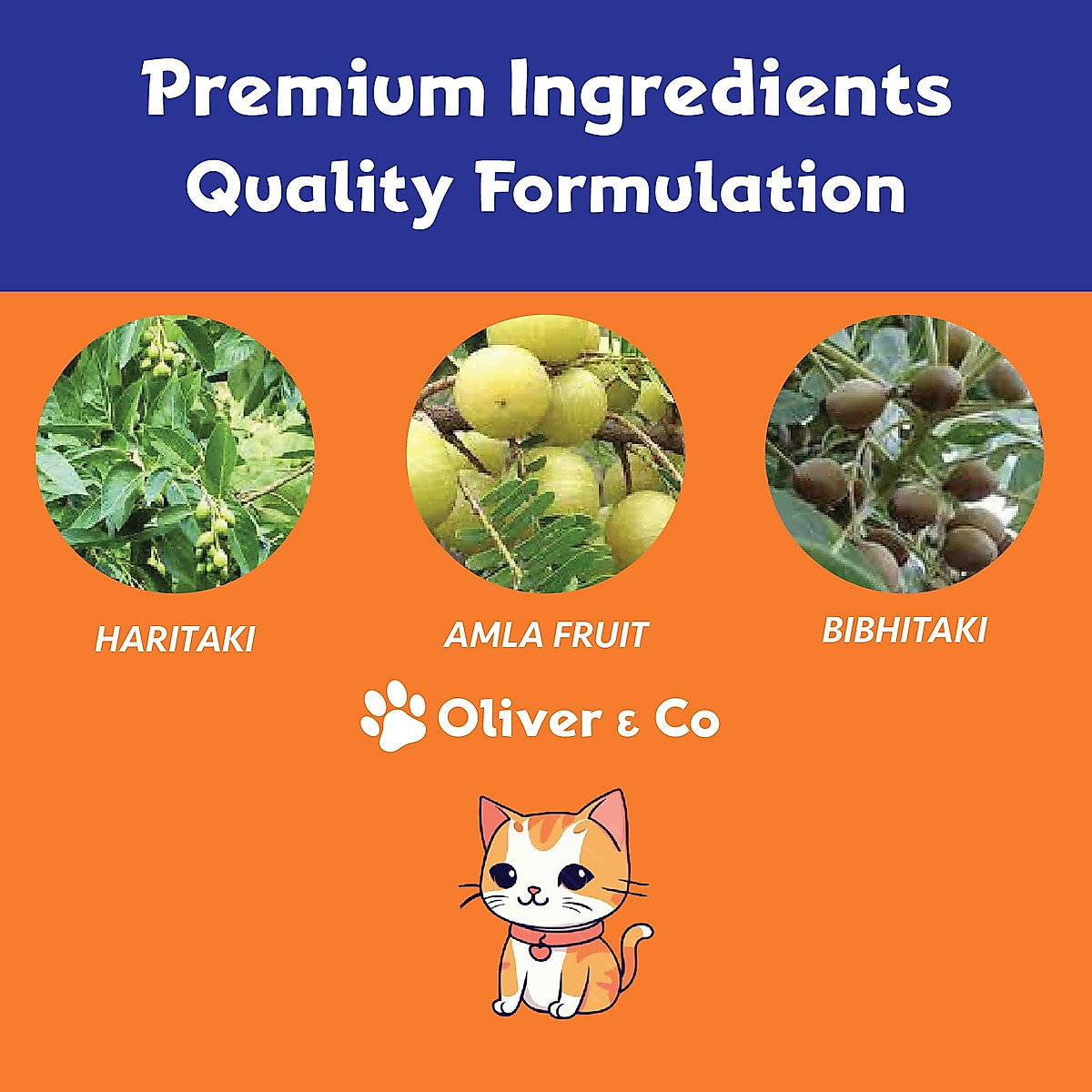 Oliver & Co. Cat Constipation Relief - Cat Laxative - Cat Constipation - Constipation Relief for Cats -Constipation Relief for Cat - Cat Laxative Constipation Relief - 1 fl oz - Roast Chicken Flavor