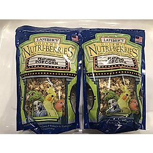 LAFEBER'S Gourmet Nutri-Berries with Popcorn for Parakeet, Cockatiel & Conures 4 oz - Pack of 2
