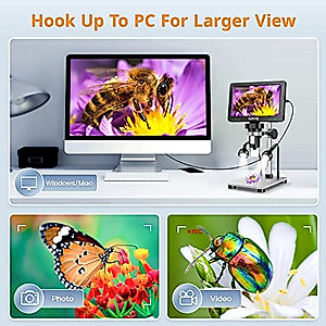 Hayve 7" LCD Digital Microscope, 1200X Magnification for Coin PCB Circuit Repair Soldering, 12MP Camera Sensor Coin Microscope，32GB TF Card，Wired Remote, 10 LED Light, Compatible with Windows/Mac OS