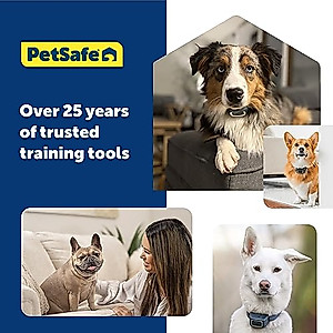 PetSafe Outdoor Ultrasonic Bark Control - Viral on TikTok - No Barking Deterrent for All Dog Sizes - Up to 1/4 Acre Coverage - Weatherproof - Great for Backyards - Bird House Design