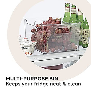 OGGI Storage Bin w/Handles, 13˝ x 9˝ x 6˝, Clear