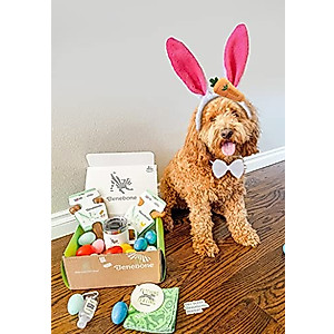 Dog Bunny Ears and Dog Easter Bow Tie, Pet Easter Outfit