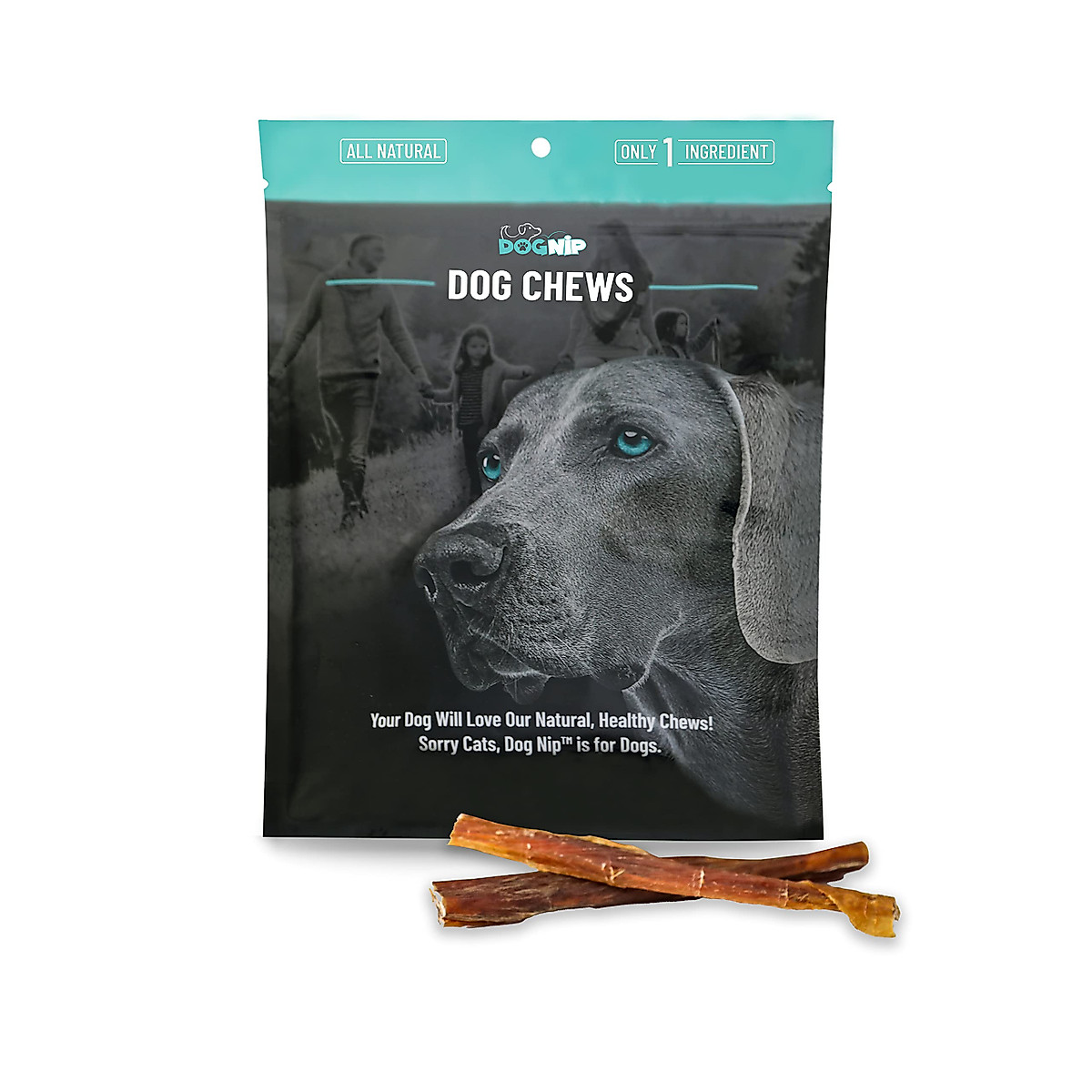 Dog Nip 6-Inch Baby Bully Bladder Sticks 1-Pound (Approx. 40-50 Pieces) for Dogs - All Natural - Single Ingredient - Best Long Lasting Dog Chew Dental Treats