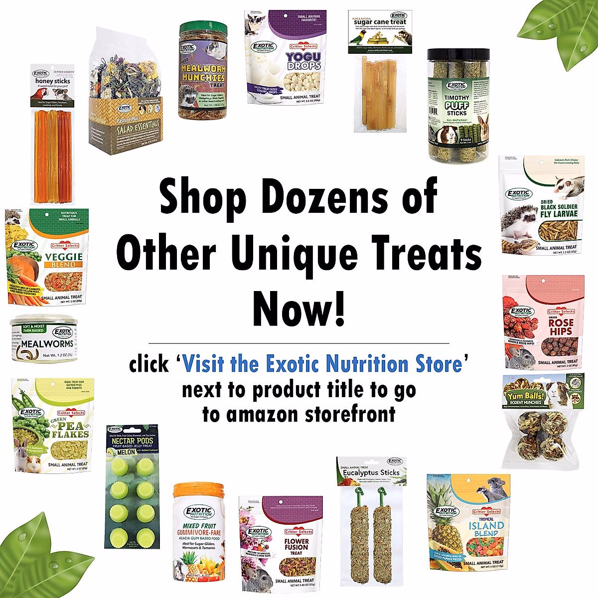 Exotic Nutrition Antler Chews - Safe Small Animal Chew - Natural Source of Healthy Minerals - Chinchilla, Hamster, Degu, Prairie Dog, Squirrel and Other Chewing Pets