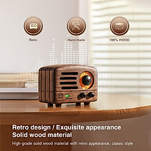 Muzen Portable Bluetooth Speaker, OTR Wood Vintage Small Wireless Speaker, FM Radio with Antenna AUX, 10h+ Long Playtime, High Fidelity Stereo Audio with Suitcase, for Gift Home Picnic