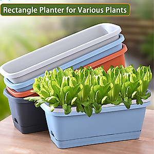 8-pack 15.6*7.5*5.9" Planter Boxes Outdoor Large,Window Box Planters Rectangle for Indoor Plants,Long Planter Box with Drainage Tray,Windowsill Herb Garden for Vegetables Succulents(Off-white)