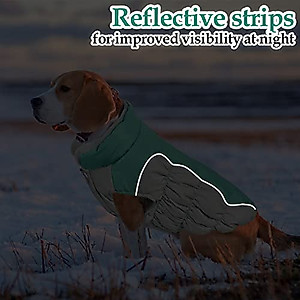 MKubwaa Polar Fleece Dog Jacket, Reflective Dog Cold Weather Coat Vest for Small Medium Dogs, Winter Waterproof Puppy Clothes with Fur Collars, Comfortable Thicken Pet Winter Apparel(Green-S)