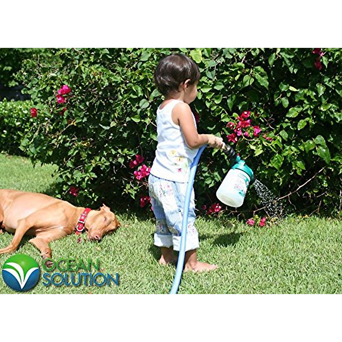 OceanSolution 2-0-3 - Plant Food - Liquid Organic Fertilizer for Gardens, Landscapes, Hydroponics (Organic Ocean Mineral Fertilizer Concentrate 1 Gallon Jug)