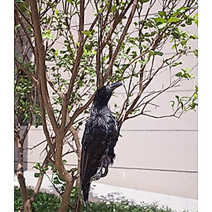 Etistta 17 inch Realistic Hanging Dead Crows Decoy Lifesize Extra Large Black Feathered Crow