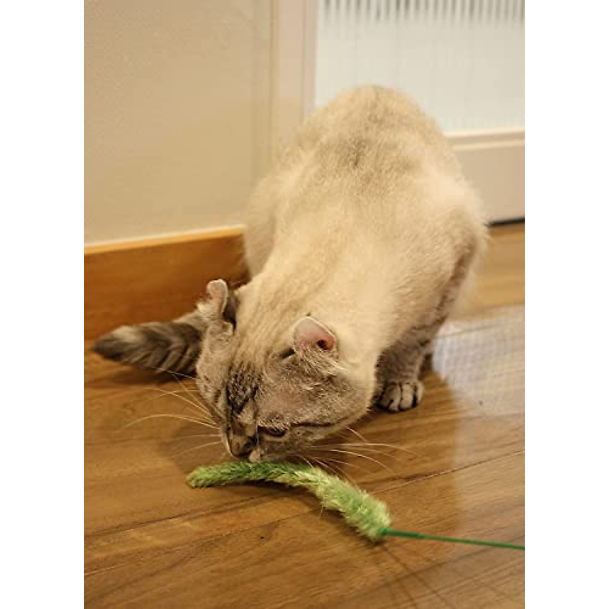 Catty Man Cat Play Grass, Jareneko Setaria 2 pcs. Set. Interactive Cat Teaser Wand Made in Japan