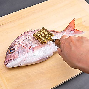 RANSHOU Fish Scaler Remover No Mess Heavy Duty Double Wing Blade, Japanese Professional Fish Scale Scraper Tool, Wood Handle, Brass Gold, Made in JAPAN