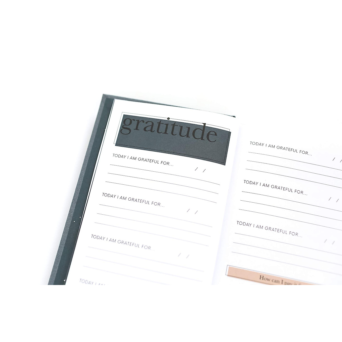 Paper Peony Press Gratitude Journal for Women: A Daily 5 Minute Guide for Mindfulness, Positivity, Affirmation and Self Care (Premium Keepsake Edition)