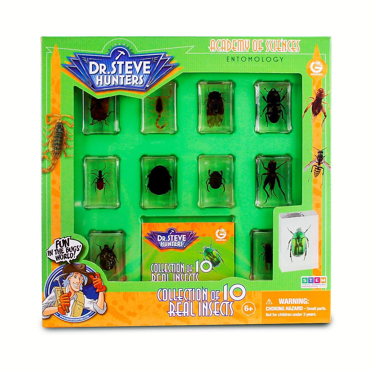 Dr. Steve Hunters - Bugs World Collection - 10 REAL insects - Scientific Educational Toy
