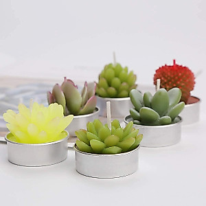 LJQizn 6pcs Cactus Tealight Candles Handmade Delicate Succulent Cactus Candles Tea Lights Perfect for Birthday Party Wedding Spa Home Decor Gifts (6pcs Cactus Candles)