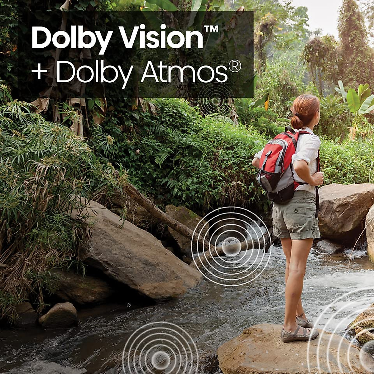 Hisense ULED 4K Premium 55U6GR Quantum Dot QLED Series 55-Inch Class Roku 4K Smart TV with Voice Remote