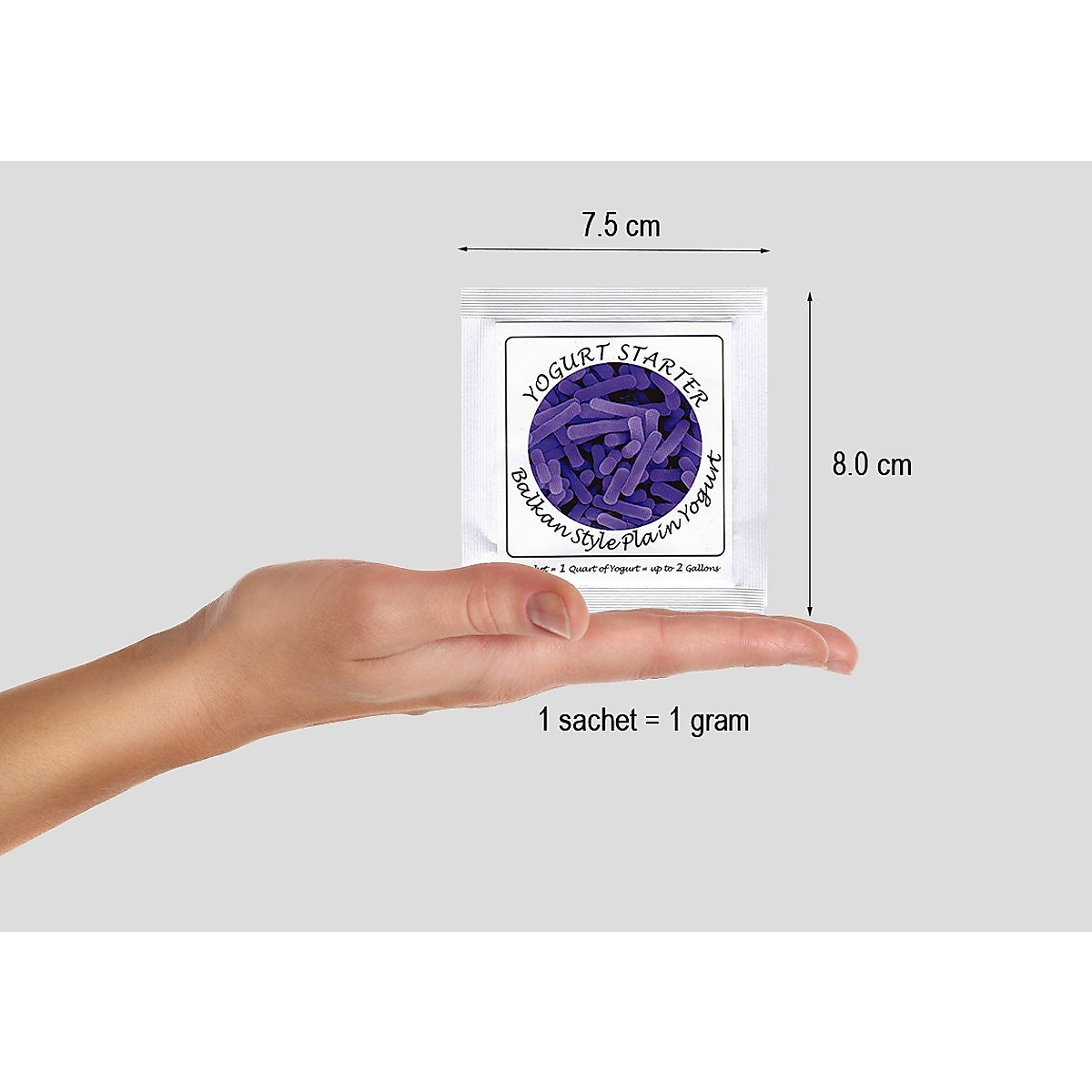 Yogurt Starter Cultures - Pack of 3 Freeze-dried Culture Sachets for Balkan Style Plain Yogurt